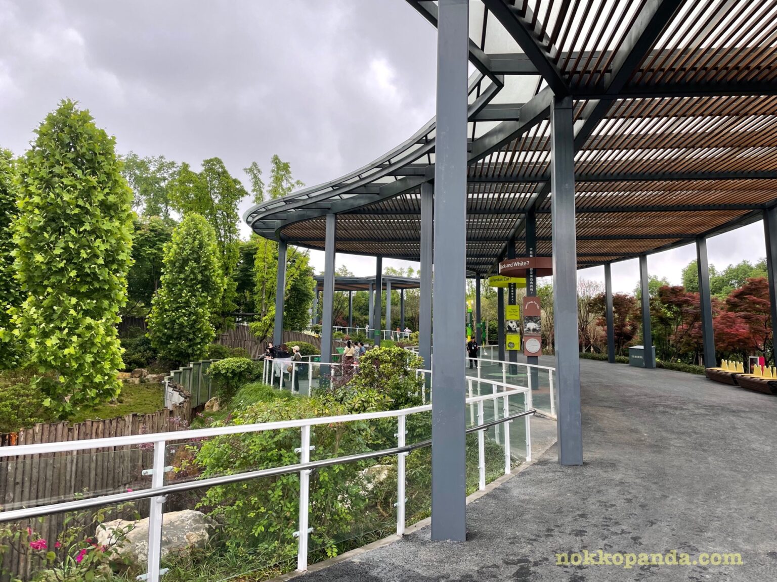 20年越しの憧れ。中国成都でパンダまみれのGW 〈vol.14〉DAY4 成都のパンダ基地② あの子との再会 – LIFE IS JOURNEY!！